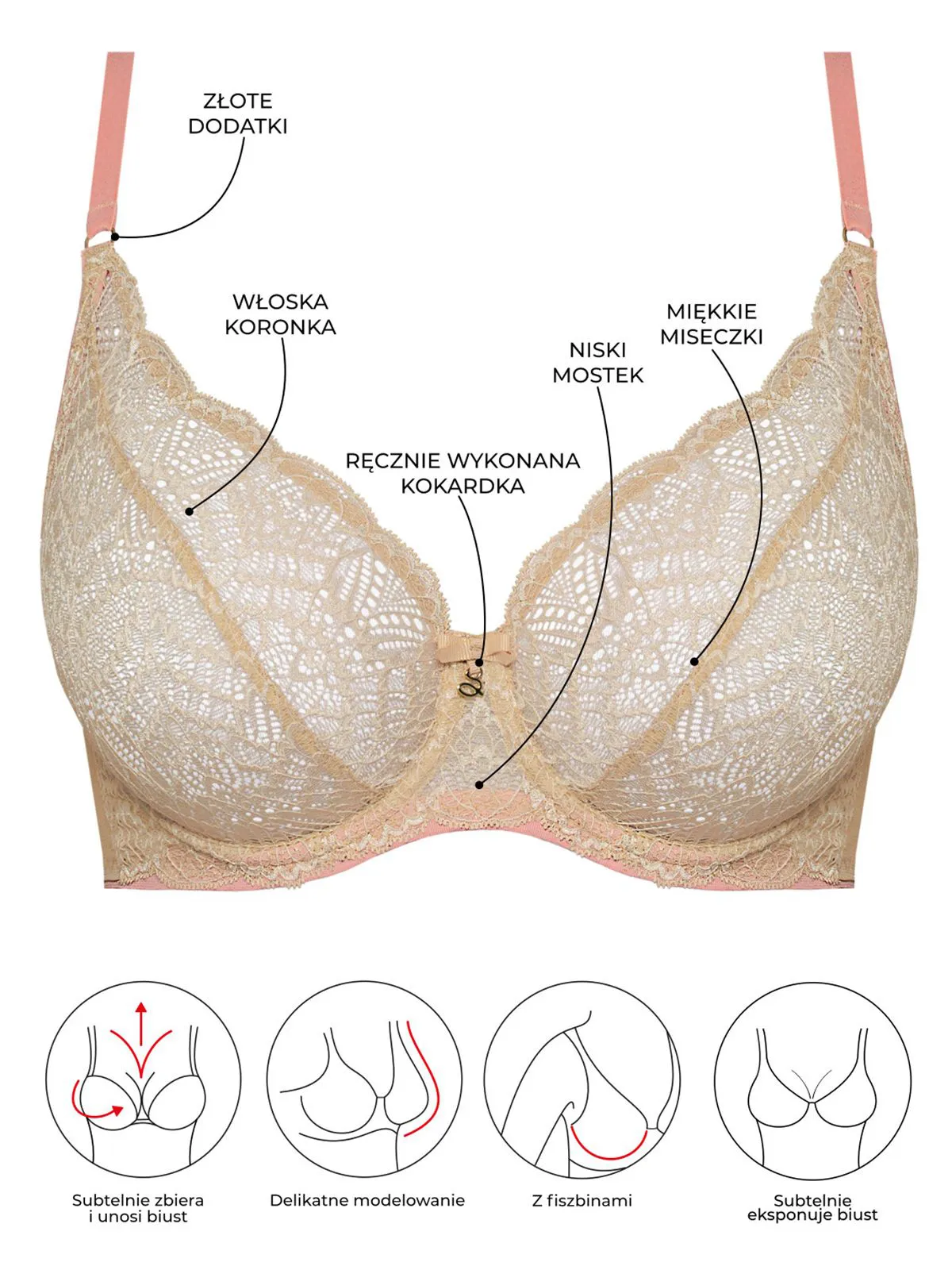BIUSTONOSZ SAMANTA CHARLOTTE A144 | Sklep z bielizną Clodi